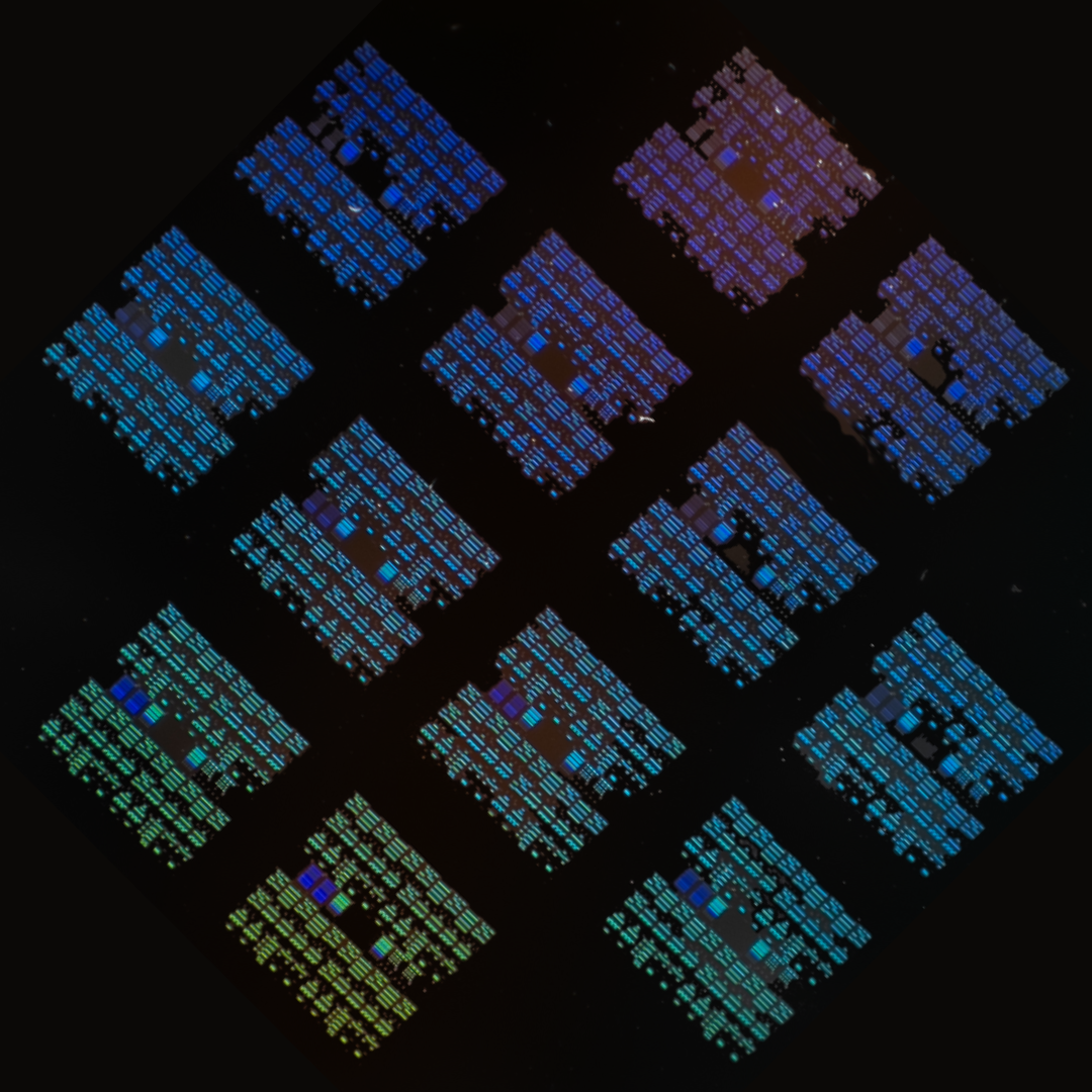 MZM-C145 - Mach-Zehnder Modulator -Polariton
